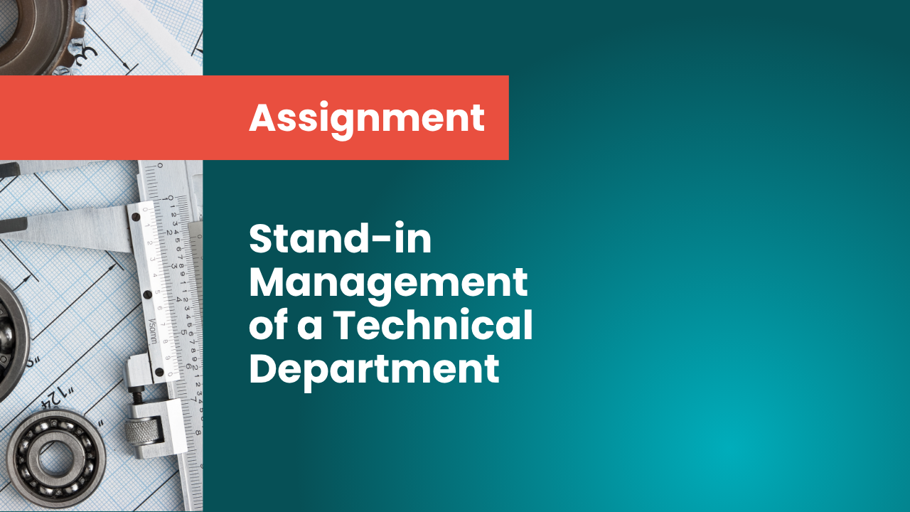Stand-in Management of a Technical Department - NIMSuisse